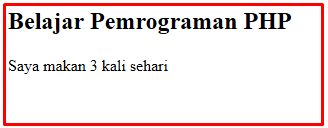 Fungsi perintah echo dan print pada PHP - Ayam Koding