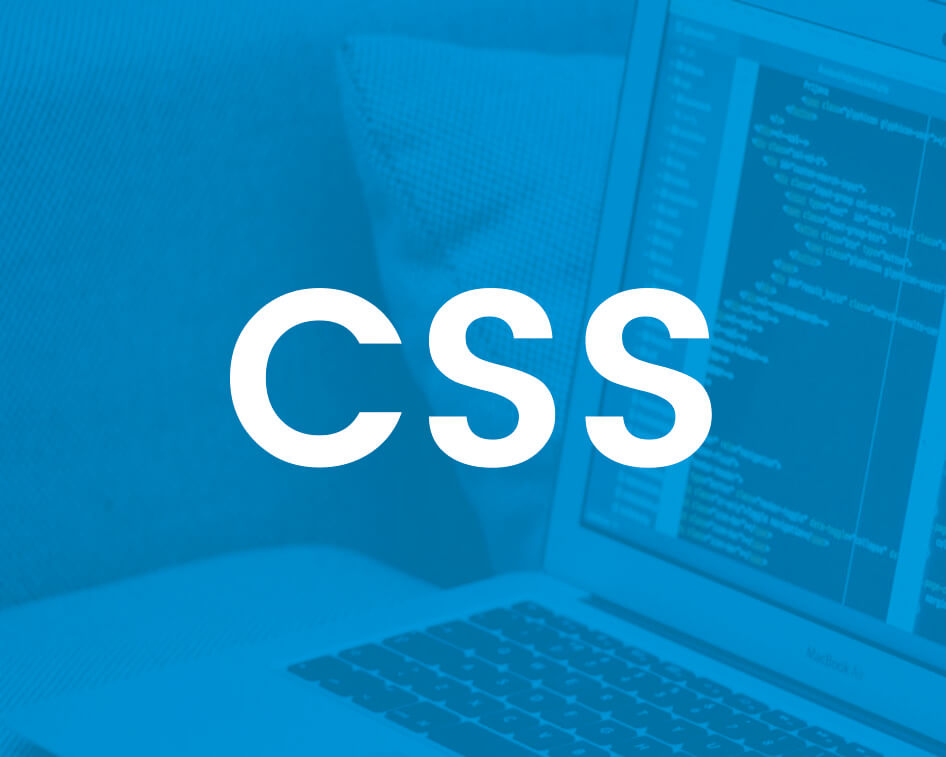 Cara Menggunakan Margin Pada CSS - Ayam Koding Cara Menggunakan Margin Pada CSS - Ayam Koding